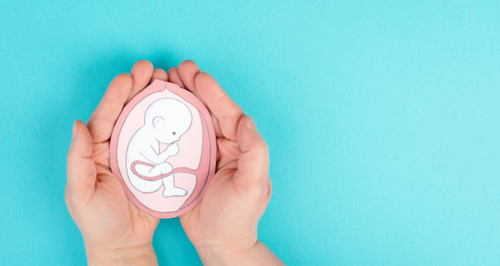 Embryo Donation at SILK Medical: What International Patients Need to ...